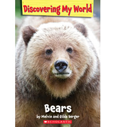 Discovering My World: Bears | RIF.org